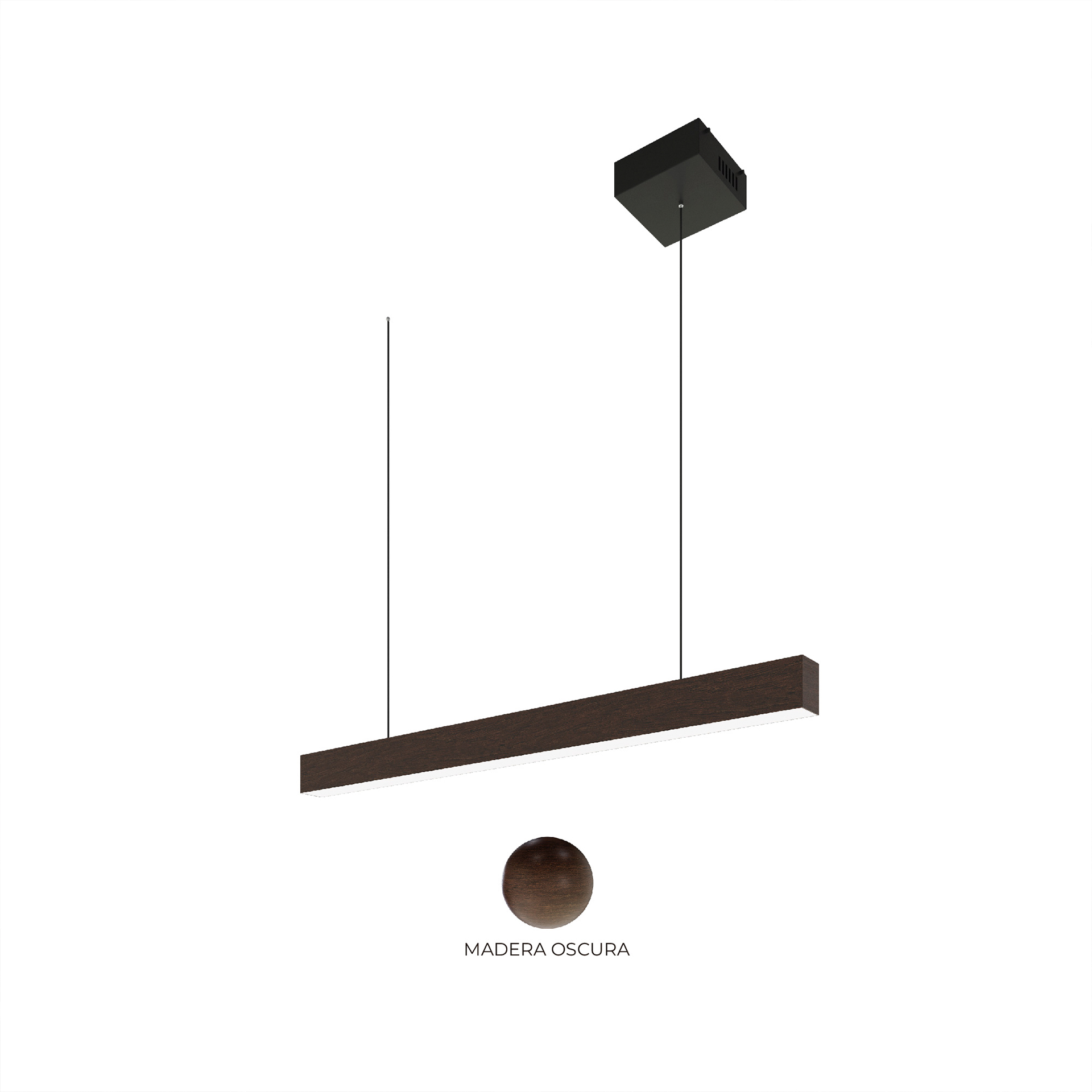 PEGASI-III-MO-BN | TLapps